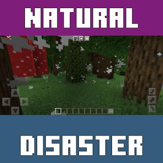 Download Natural Disasters Mod Minecraft Bedrock – Natural Disasters Mod